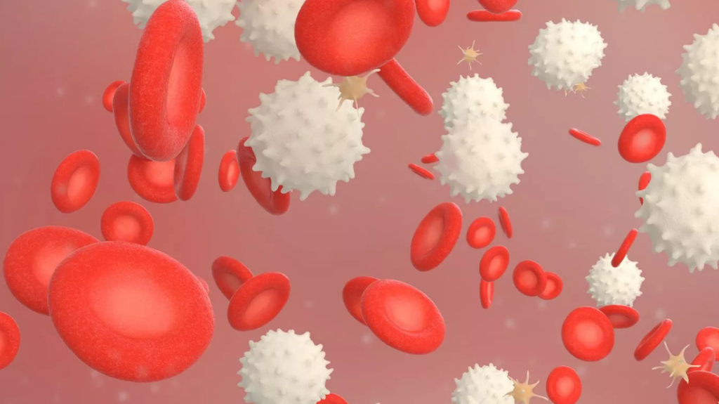 Best Bone Marrow Specialist in Delhi - Stem Cell Transplantation Process